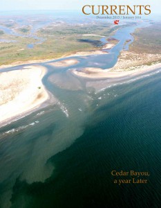 CURRENTS - CCA Texas