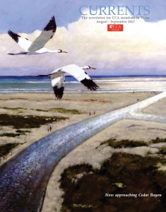 CURRENTS - CCA Texas