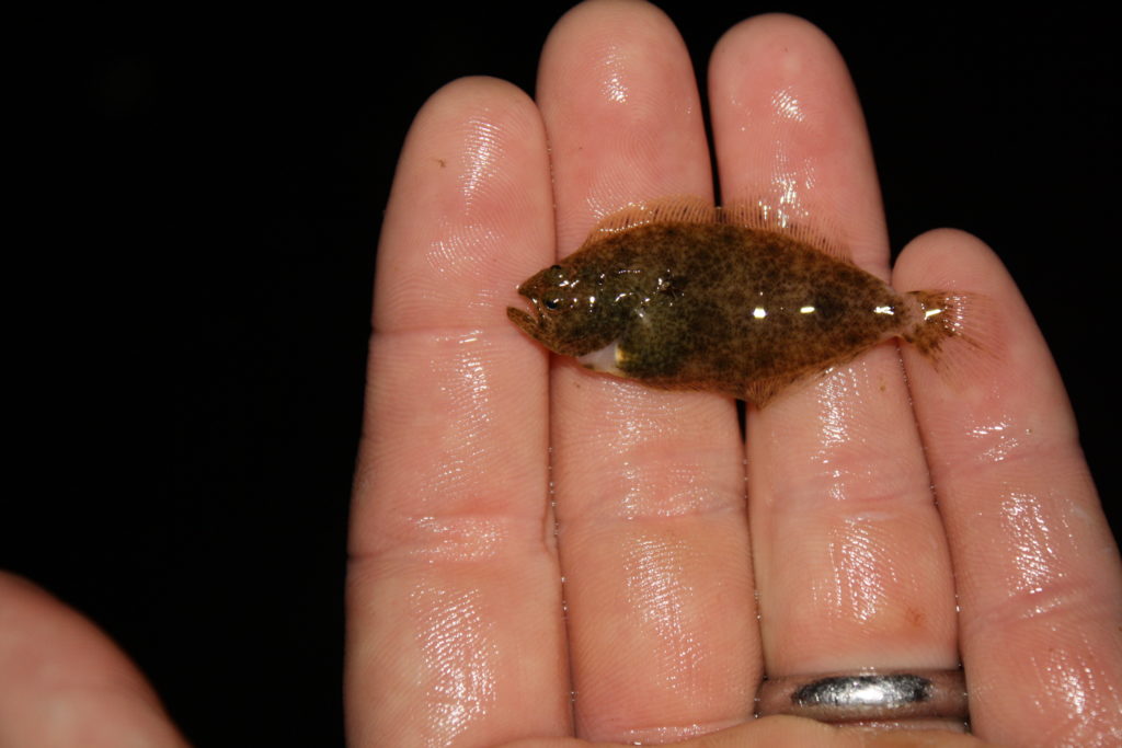 Running Hot And Cold - CCA Texas