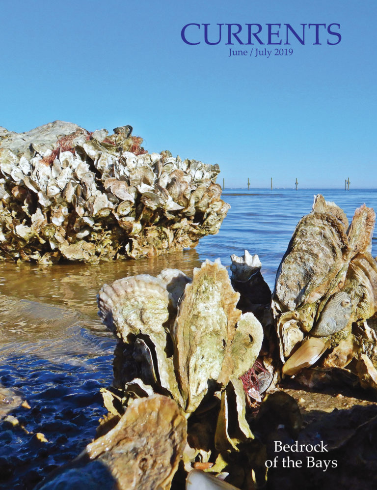 CURRENTS - CCA Texas