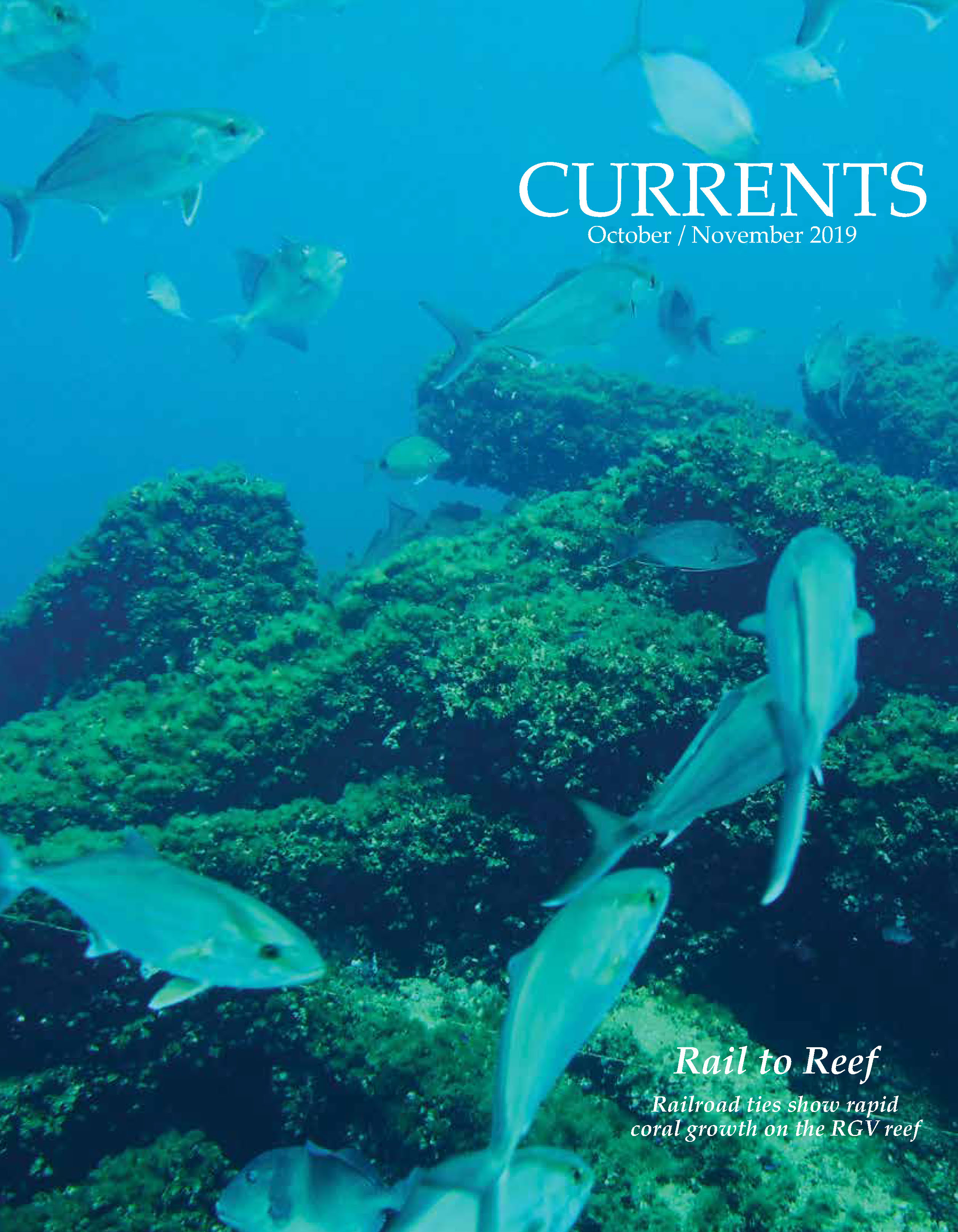 CURRENTS - CCA Texas