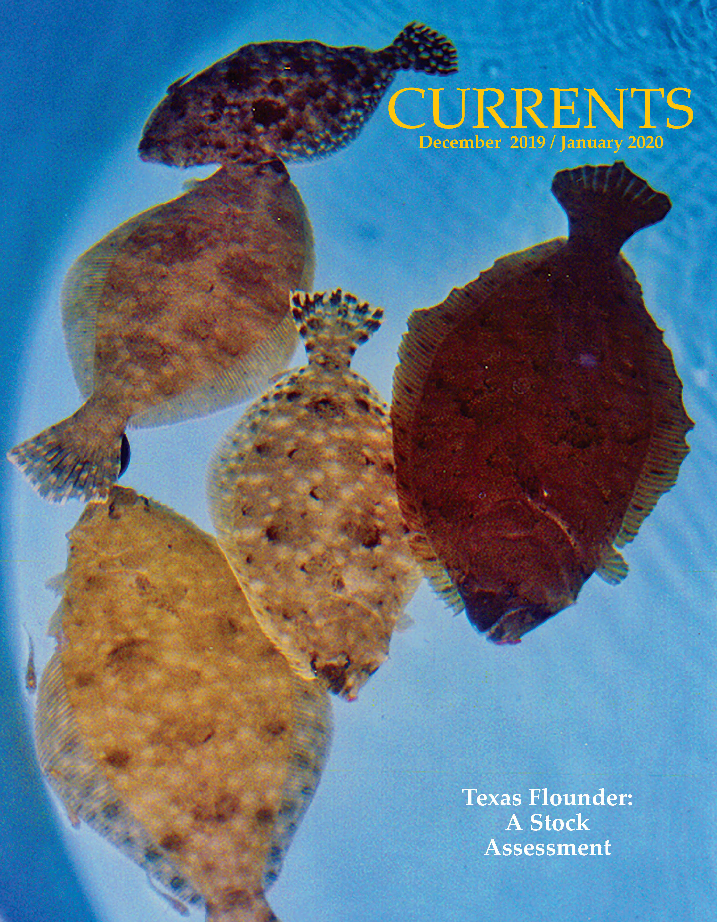 CURRENTS - CCA Texas