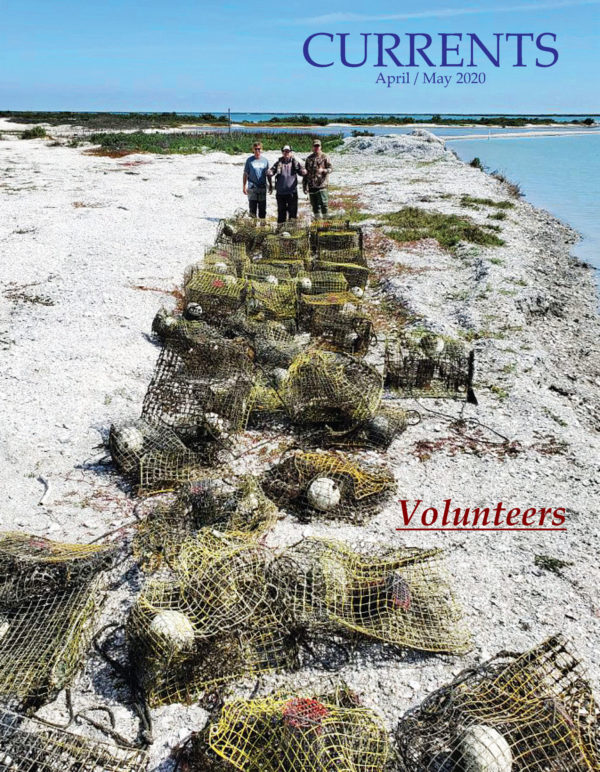 CURRENTS - CCA Texas