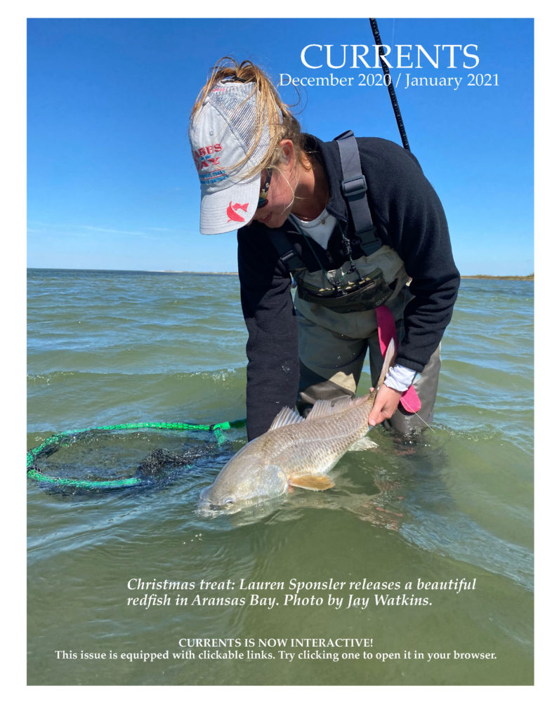 CURRENTS - CCA Texas