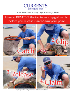 CURRENTS - CCA Texas