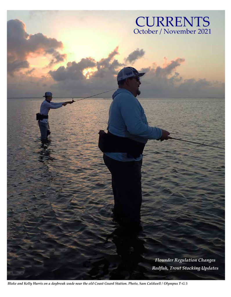 CURRENTS - CCA Texas