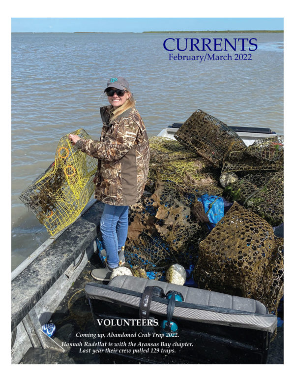 CURRENTS - CCA Texas