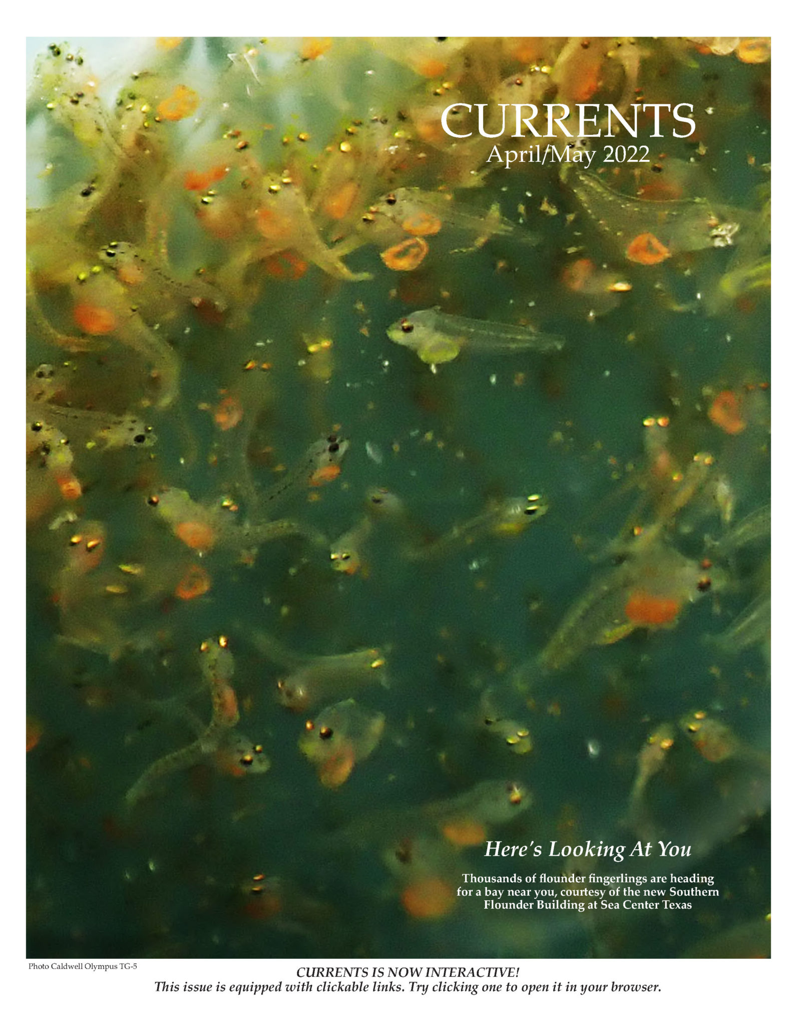 CCA Texas - Coastal Conservation Association