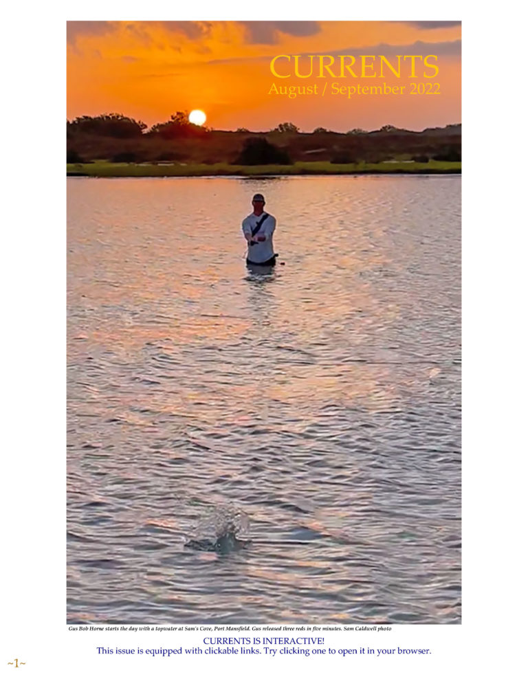 CURRENTS - CCA Texas