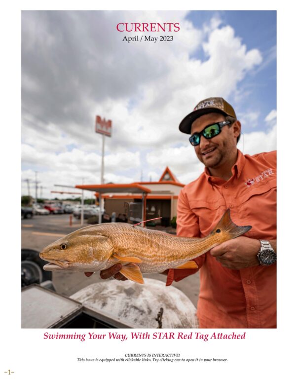 CURRENTS - CCA Texas