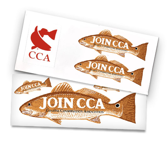 CCA Texas NEEDS YOU